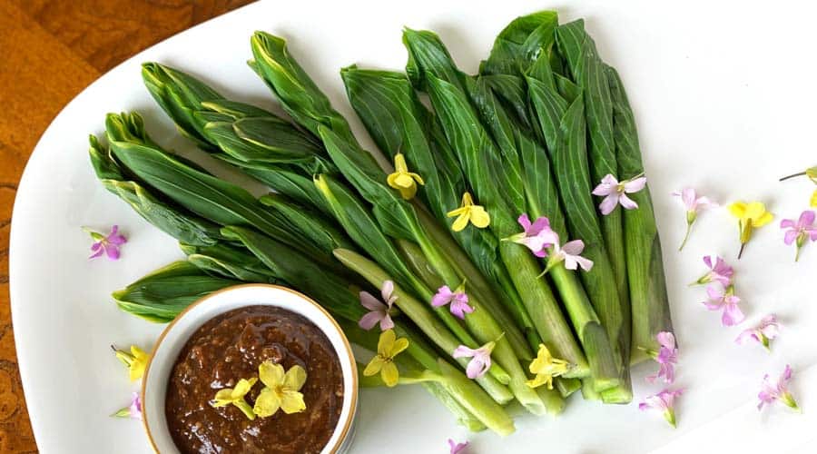 Solomon's seal & hosta shoots with honey mustard pecan butter sauce ...