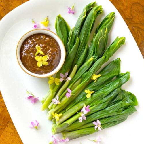 Solomon's seal & hosta shoots with honey mustard pecan butter sauce ...