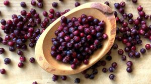 25+ rare and unusual edible plants to grow in your garden - Tyrant Farms