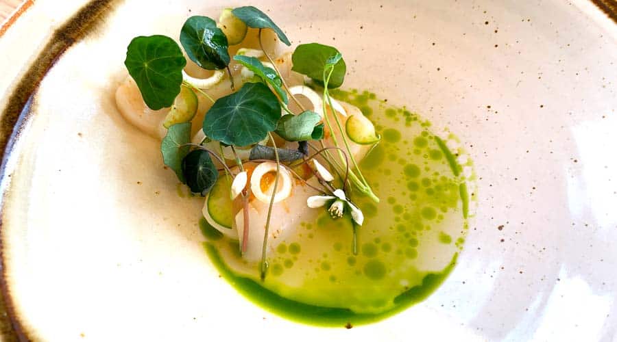 Recipe: Calamondin citrus-scallop aguachile - Tyrant Farms