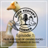 Are ducks dirty? Top tips for keeping your duck areas clean. - Tyrant Farms